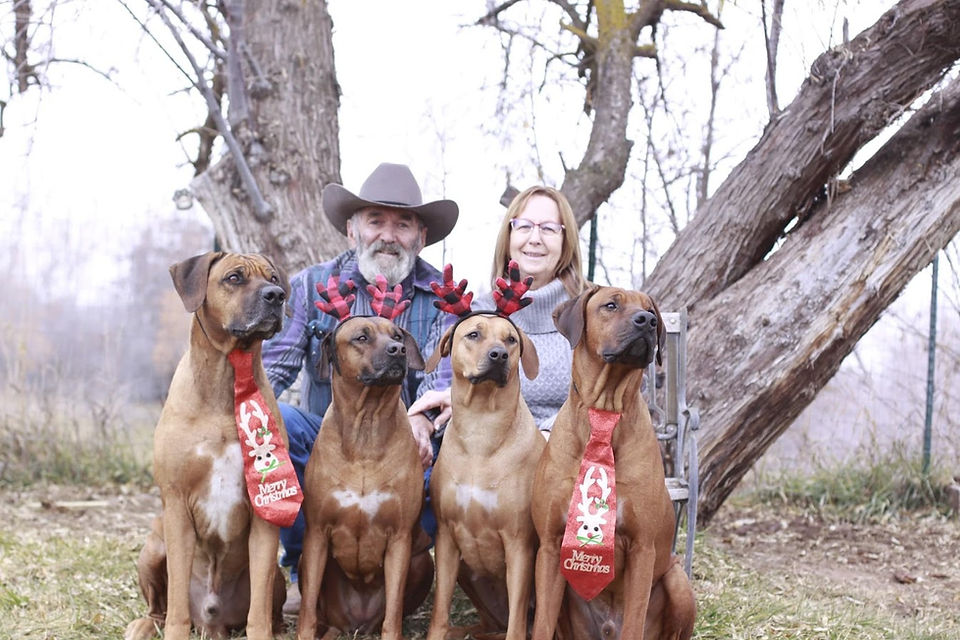Home | High Desert Ridgebacks