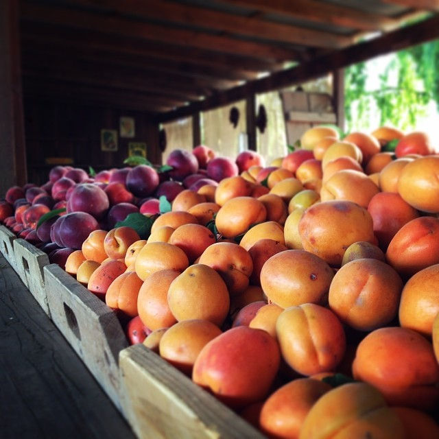 OUR PRODUCE | smithfamilyfarm