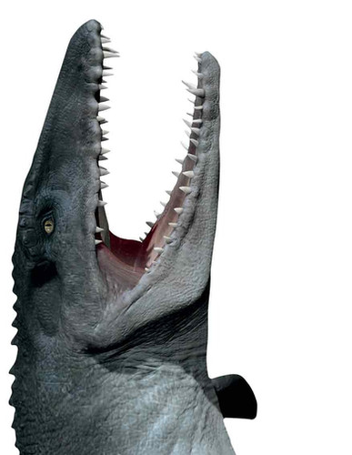 Official Jurassic World Mosasaurus Dinosaur SC1293 | Nancy Loves ...