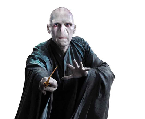Lord Voldemort Harry Potter Life Size Character SC1481 | Nancy Loves ...