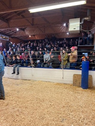 Livestock Auction | Picture Butte Auction Ltd | Alberta