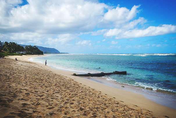 ʻĀweoweo Beach Park | Paper Plane
