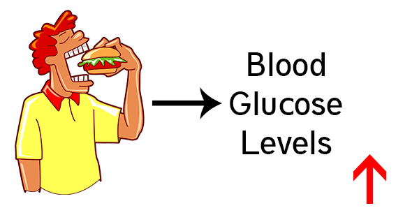 Diabetes – can it lead to hypoglycemia?