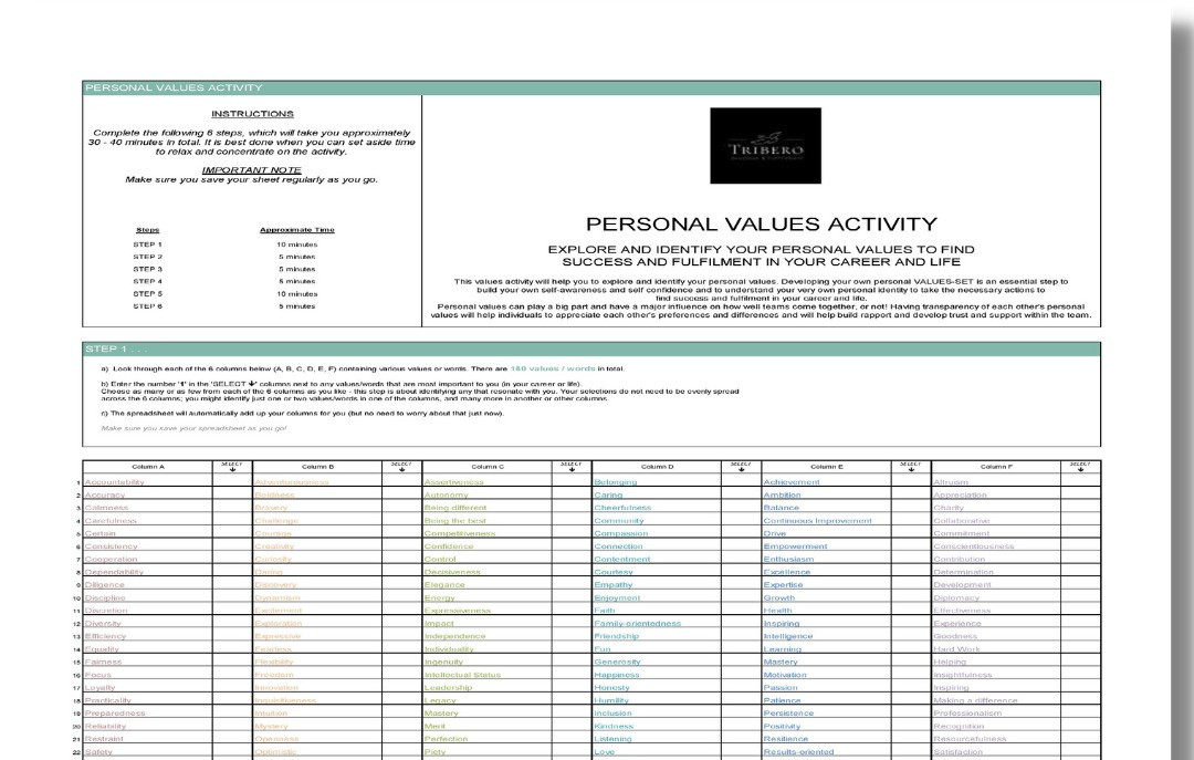 Personal Values Activity | Tribero