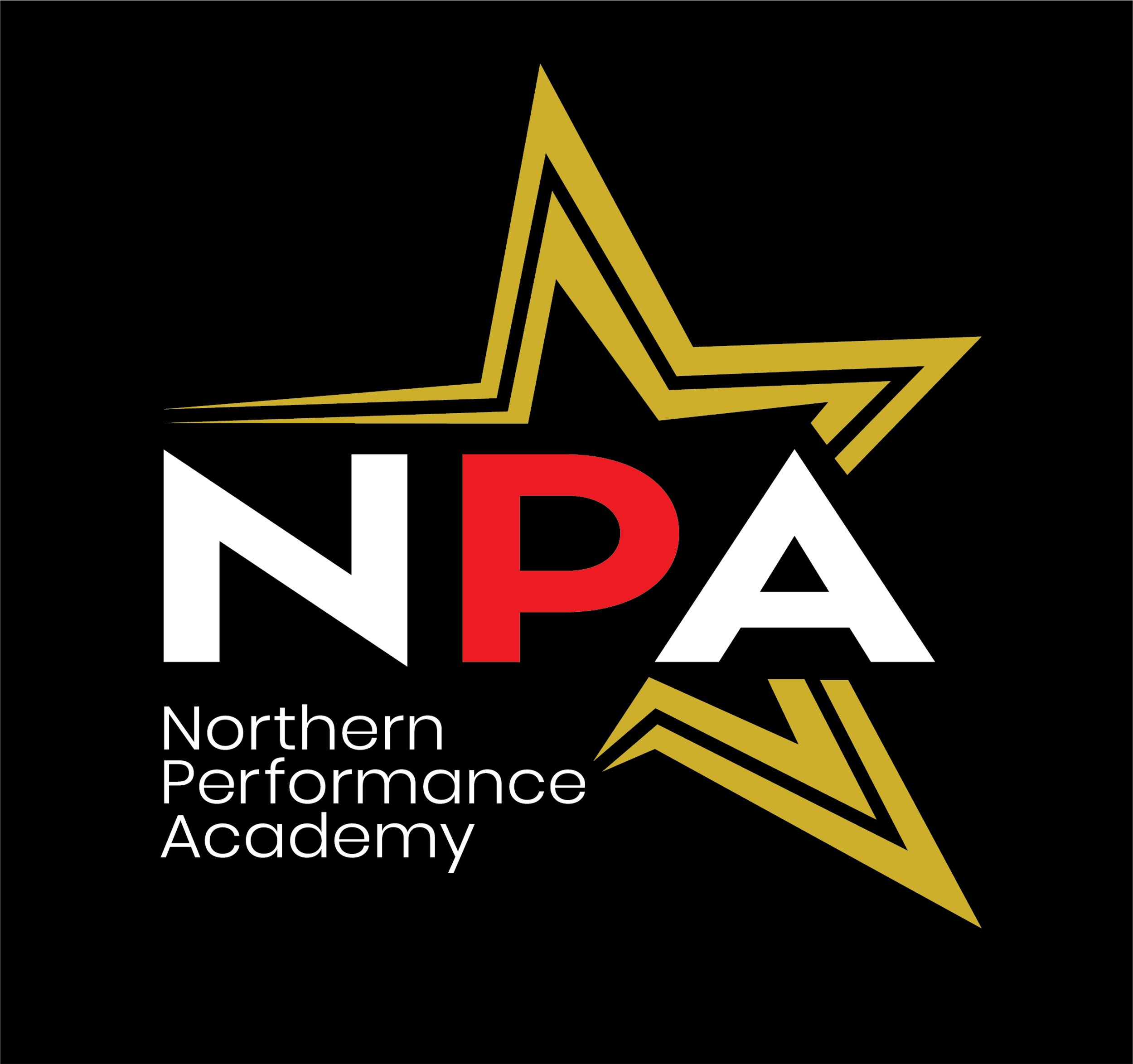 NPA ASSOCIATES PROGRAMME | NPA Harrogate