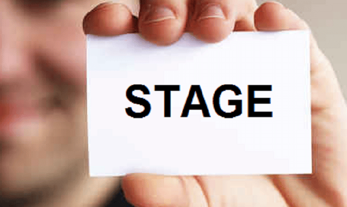 Gratification Stage 2024