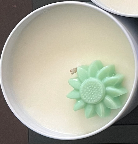 Eucalyptus Mint Fusion Candle - 8oz | Exactly That Candles