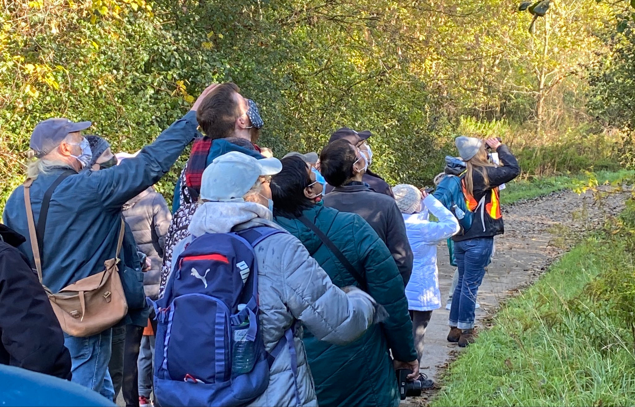 Birdwatching in London | BirdFriendlyLondon