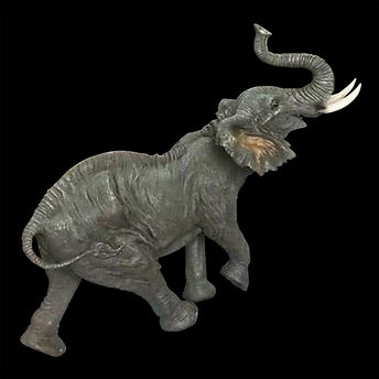 PROP HIRE | lekkertrourentals