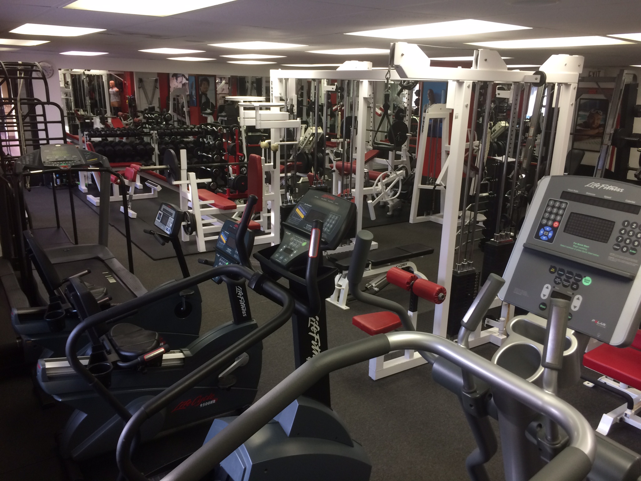 Photos of Body Sculpting Studio