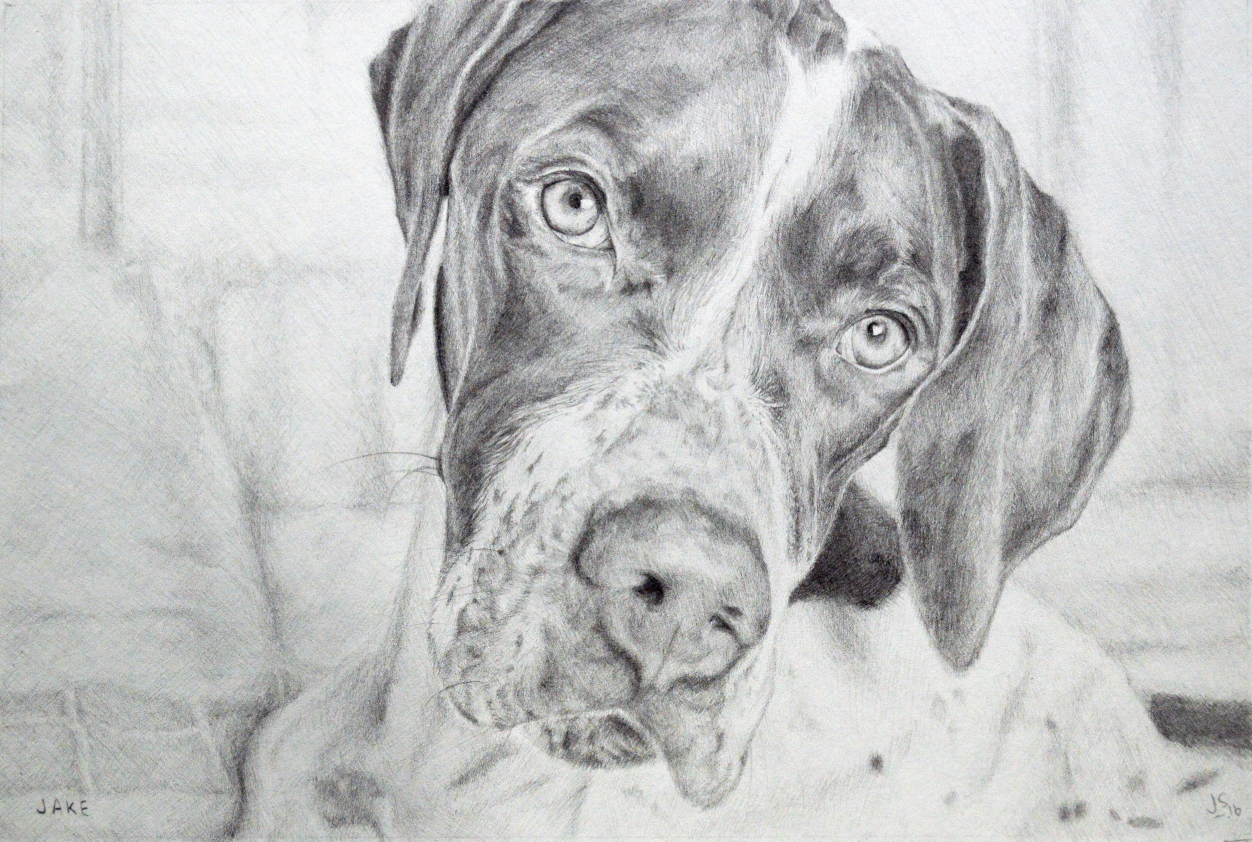 Bespoke | Joseph Sparkes