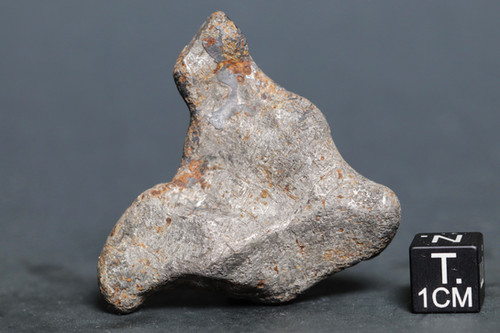 Taza Meteorite NWA 859 | StellarRite