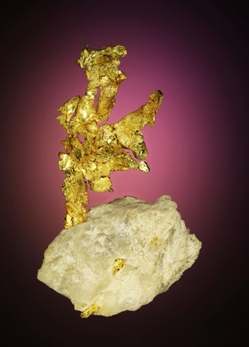 Gold Crystals on Quartz Matrix - Eagles Nest Mine, Placer County ...