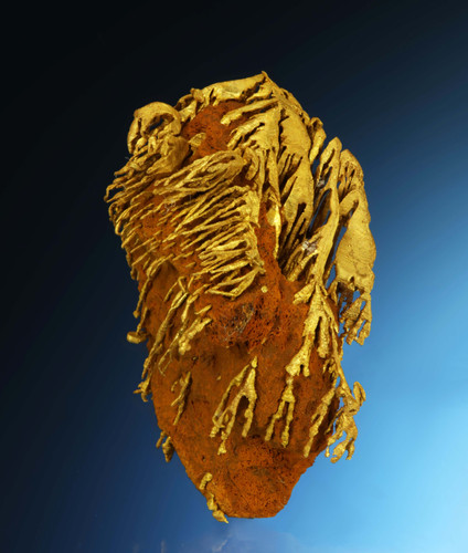 Wire Gold on Limonite Matrix - Placer County, California | StellarRite