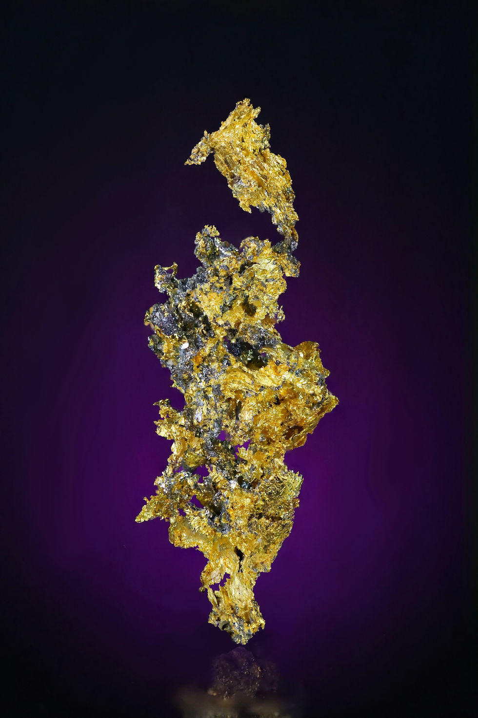 Crystallized Gold with Petzite and Altaite Calaveras County, California ...