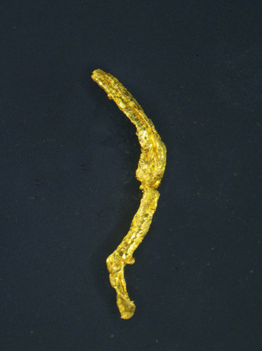 Native Wire Gold Crystal El Dorado County, California | StellarRite