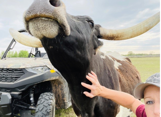 Breeder Spotlight: Rafter M Ranch