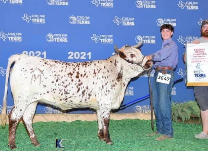 Breeder Spotlight: Rafter M Ranch