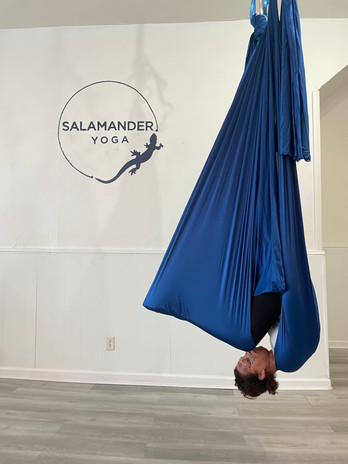 Aerial Yoga | Salamander Yoga
