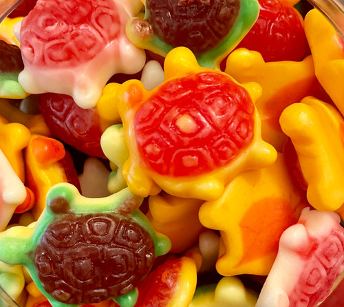 Gummy filled turtles | Ben & Bills Falmouth