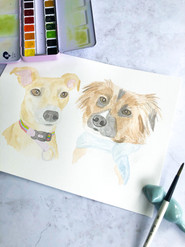 Calligraphy | Audrey Marie Calligraphy | Columbus Ohio