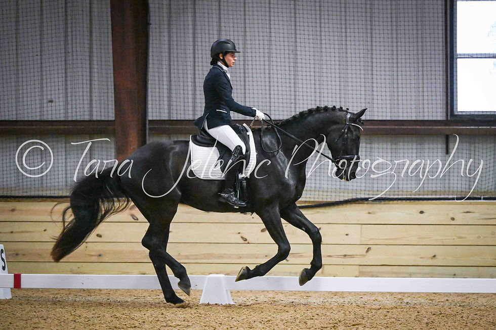 Tara Jelenic Photography