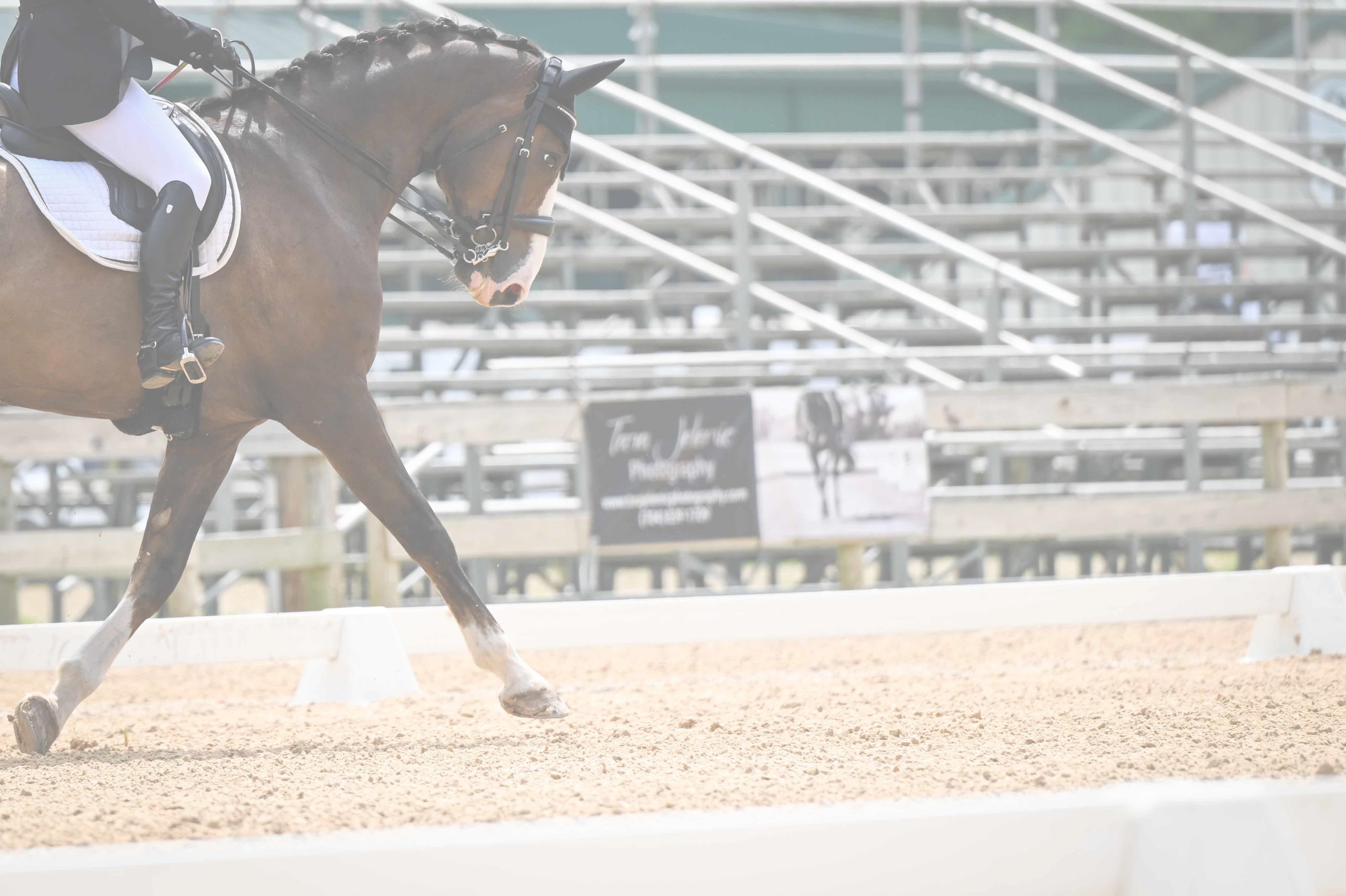 Tara Jelenic Photography