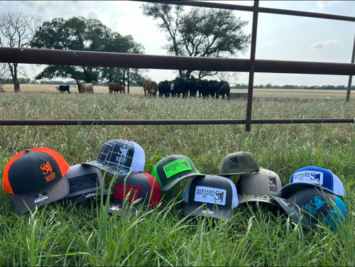 Barnard Beef Baseball Caps (Richardson) | Barnard Beef Cattle
