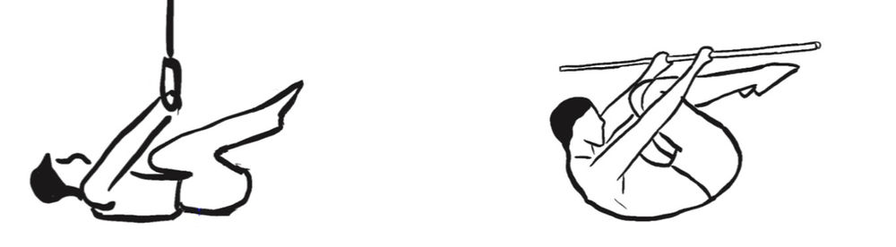 Calisthenics Front Lever Illustrated