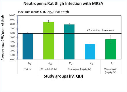 Infectious Disease | Neosome Life Sciences | Billerica