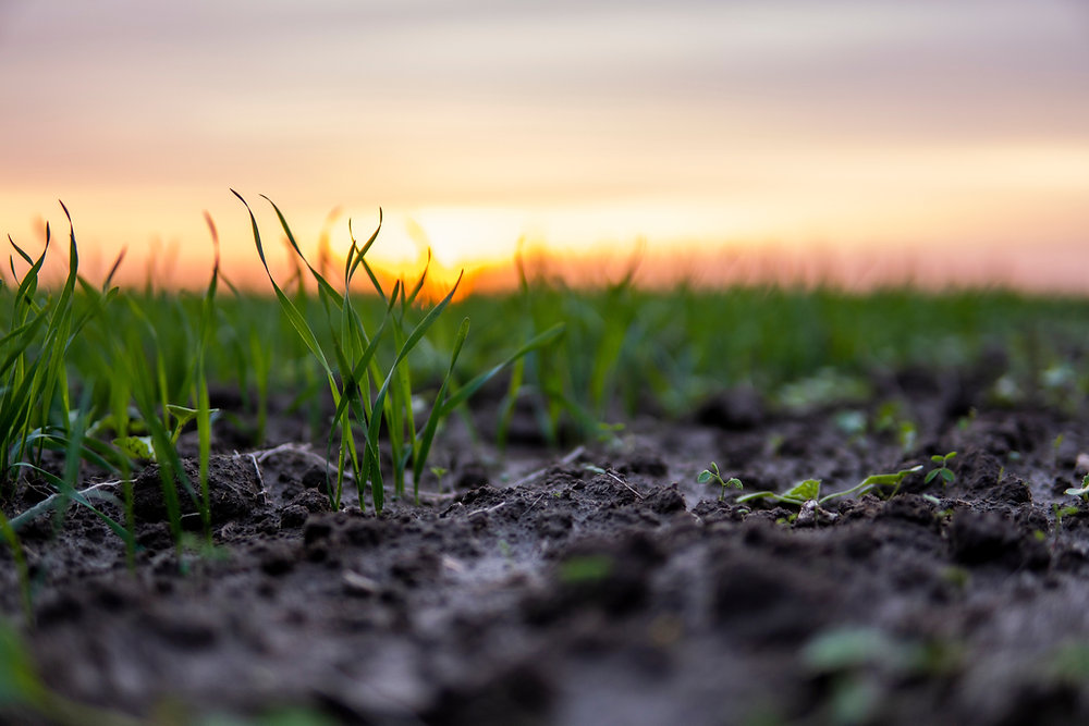 Regenerative Agriculture — Farming with Nature, for the Future.