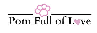 AKC Pomeranian | Pom Full Of Love | United States