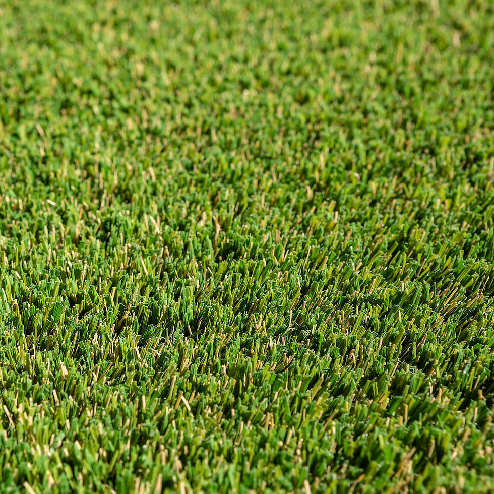 Tuff Turf Luxury Tuff 35mm Synthetic Grass | Pavers Plus