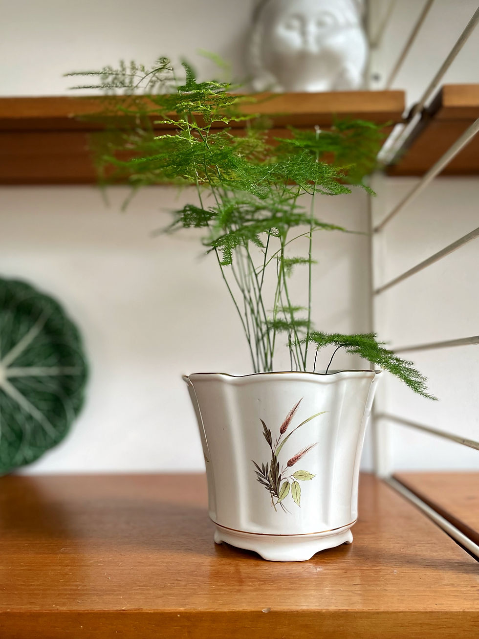 Plant Pots | Queens of Green