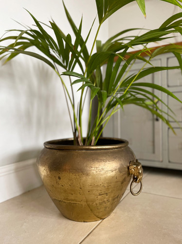 Large Brass Elephant Handled Indian Planter | Queens of Green
