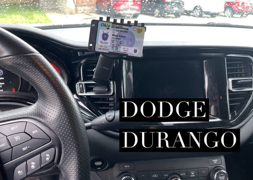 THE ID Guardian | Driver's license holder