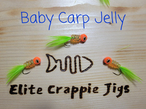 Baby Carp 10pk | Elite Crappie Jigs