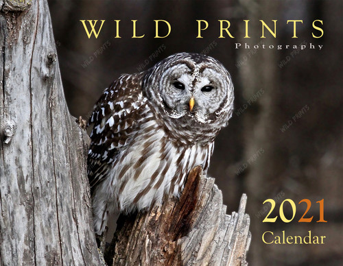 2021 WILD PRINTS CALENDAR | Wild Prints