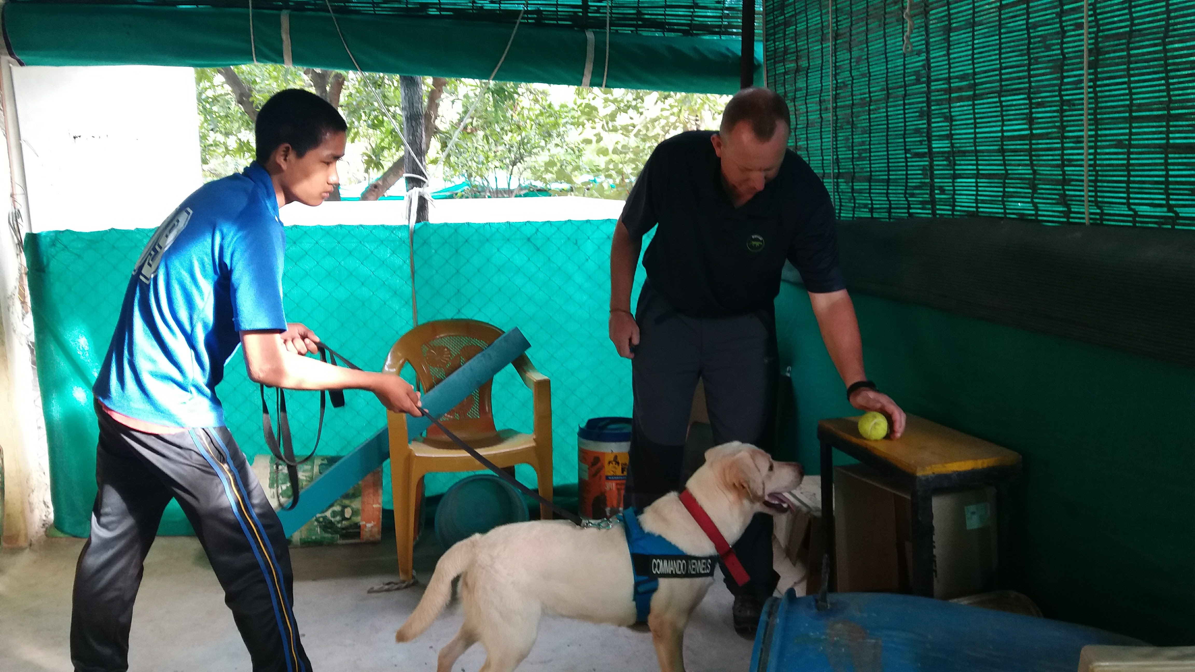 Commando Dog Trainer College | Commando k9 academy | Telangana