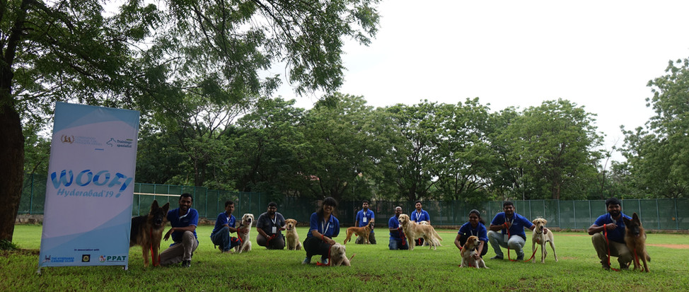 Commando Dog Trainer College | Commando k9 academy | Telangana