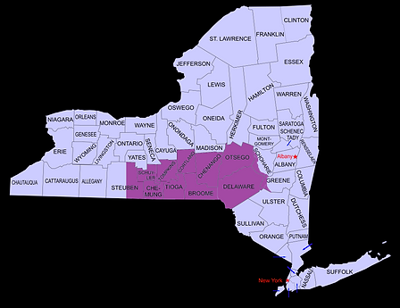 Southern Tier | NBCNY