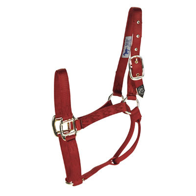 Assorted Color Hamilton Halters | milestripfarm