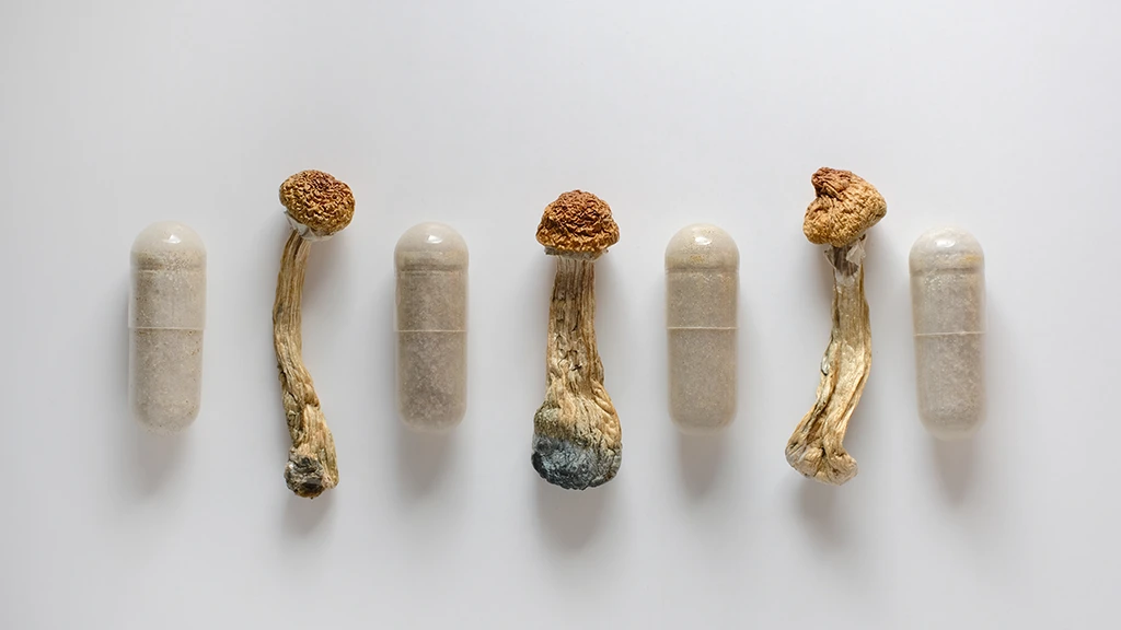 Psilocybin Microdosing 101