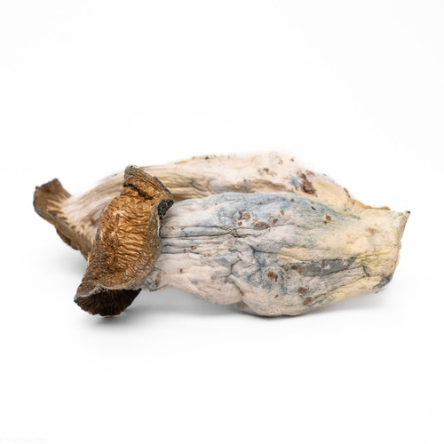 Trinity Magic Mushrooms | StrainSeek