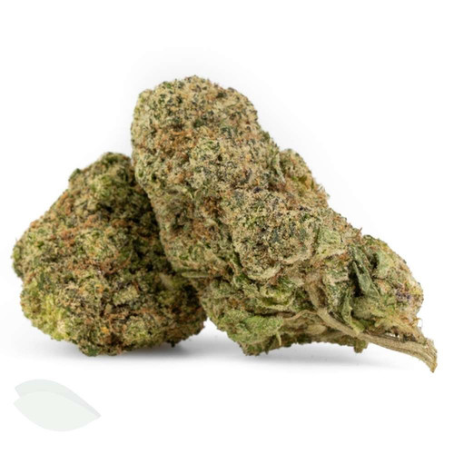 Buy Zombie OG Premium Cannabis Flower Online | StrainSeek