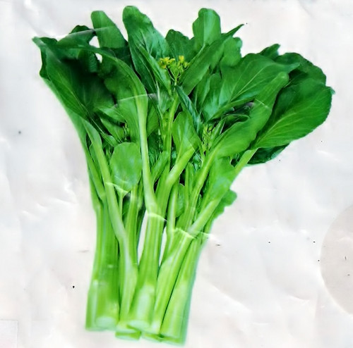 Big Stem Hybrid | amgro