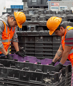 Sir Logistics | Logistica | Querétaro /con 20 años de experiencia