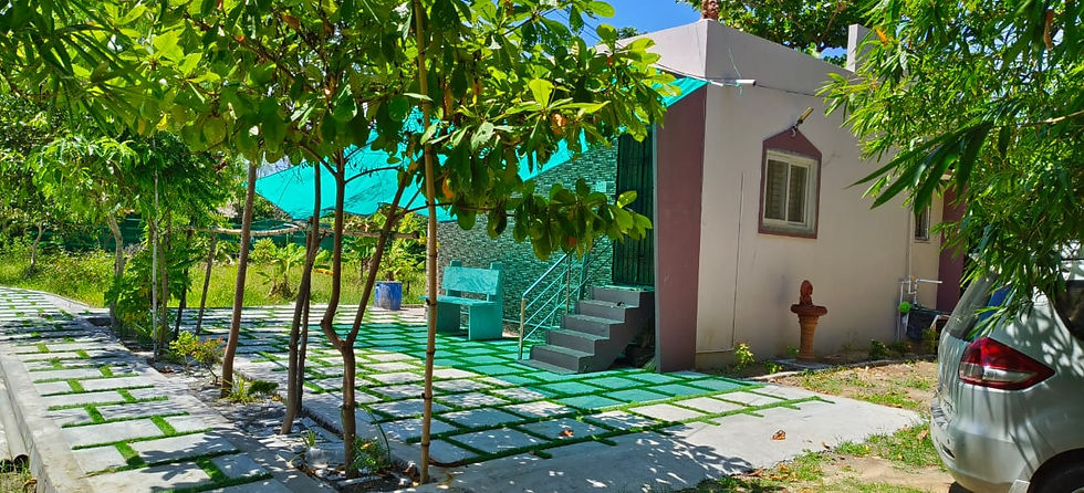 Farm House, Ecr Guest House, Individual Farm House with swimming pool ...