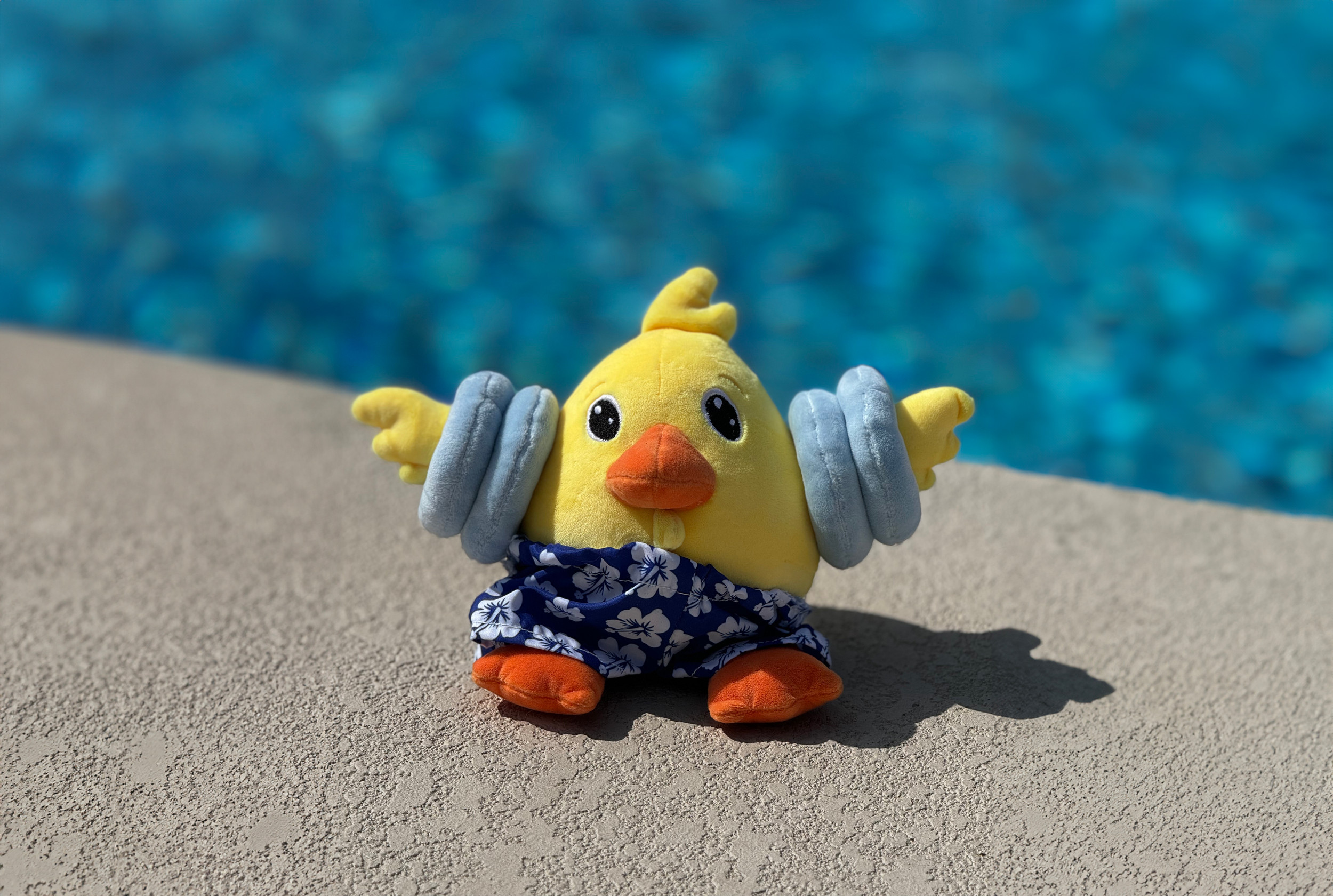 Jenny Woldt | Splash Box Marketing