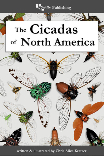 The Cicadas of North America (Softcover) | Owlfly LLC